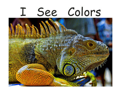 I See Colors - Touch Stories