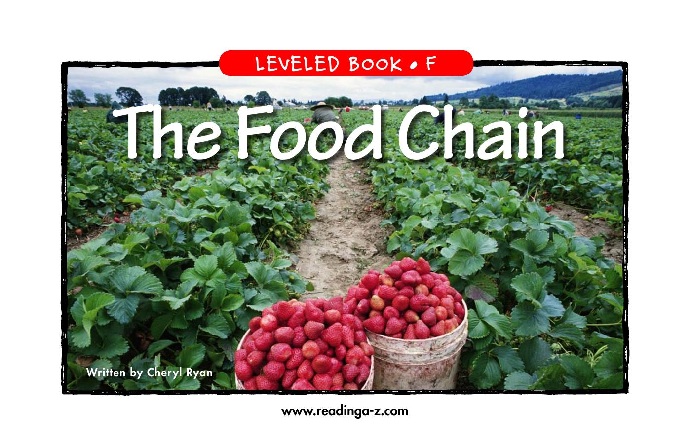 The Food Chain - Touch Stories