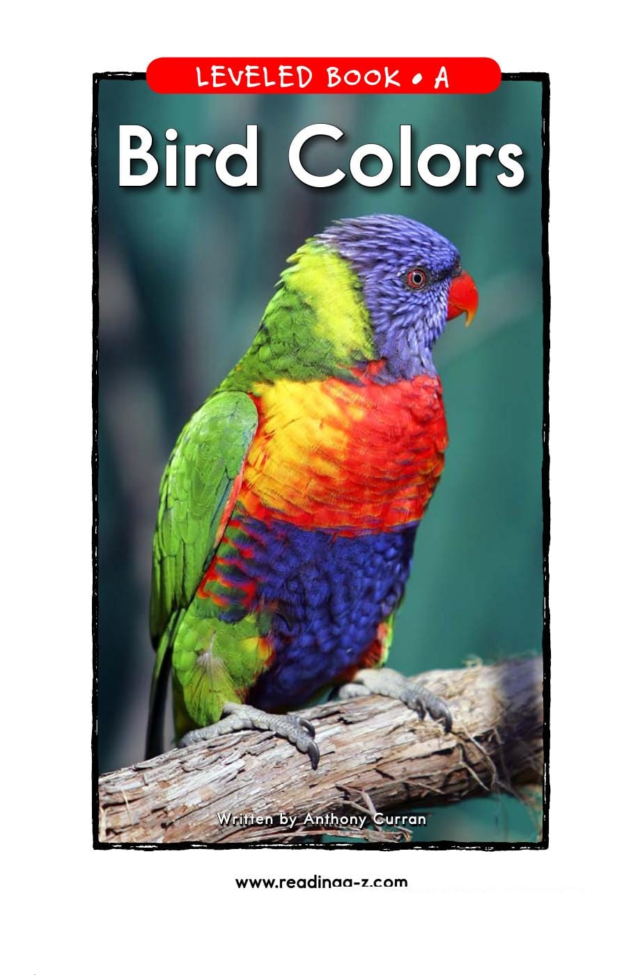 Bird Colors - Touch Stories