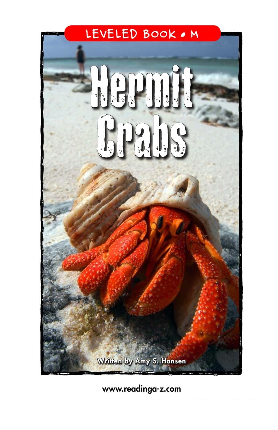 Hermit Crabs - Touch Stories