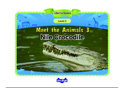 Nile Crocodile - Touch Stories