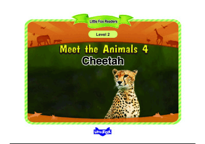 Cheetah - Touch Stories