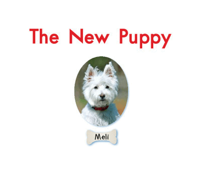 The New Puppy - Touch Stories